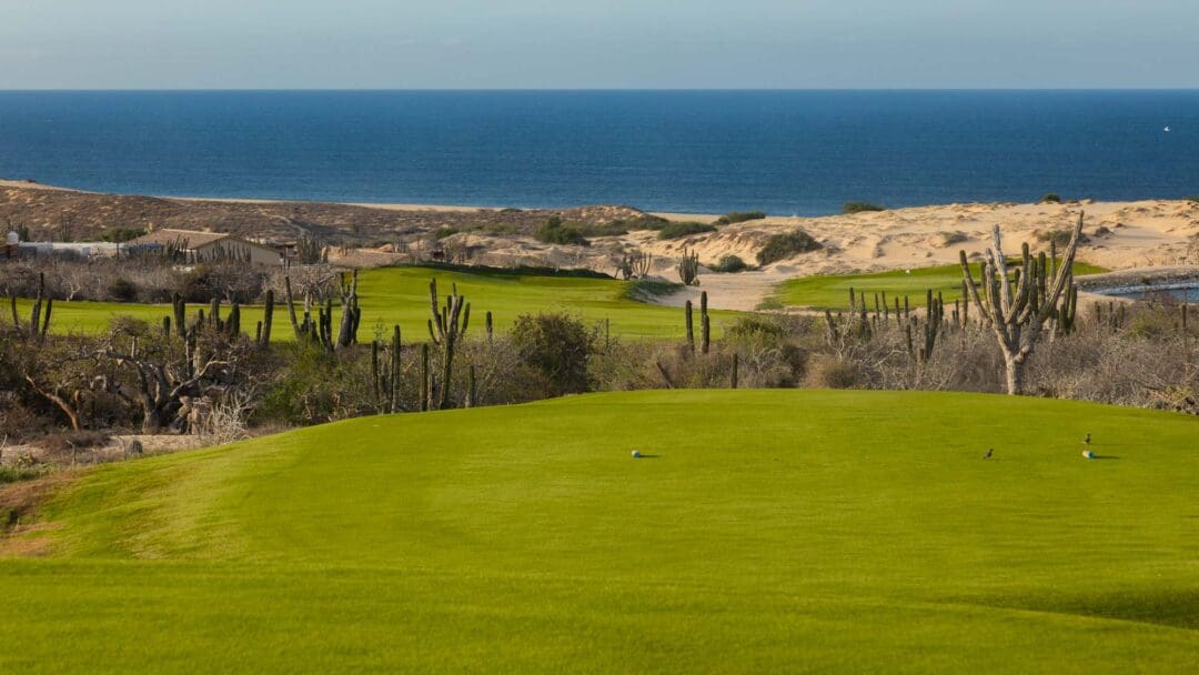Solmar Golf Links | Explore Mexico's Premier Golf Destinations